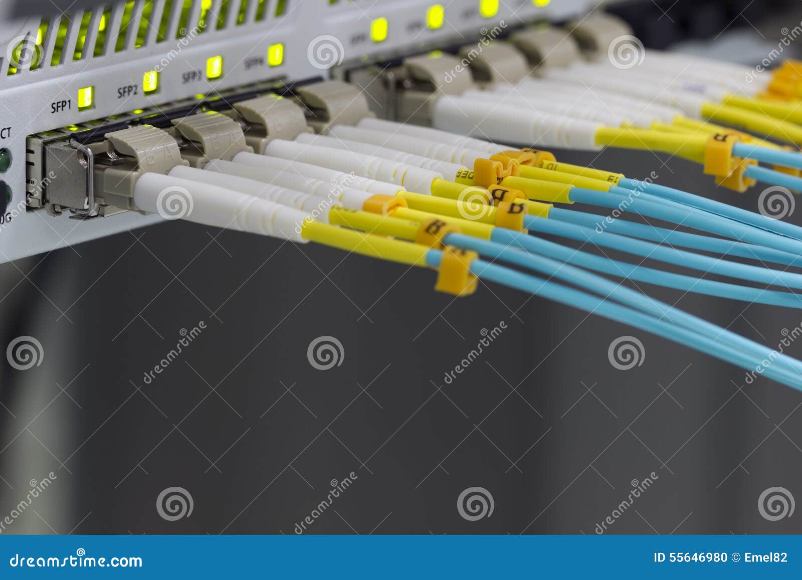 The Optical Link Is On The Interface Of The Central Router. The Front ...