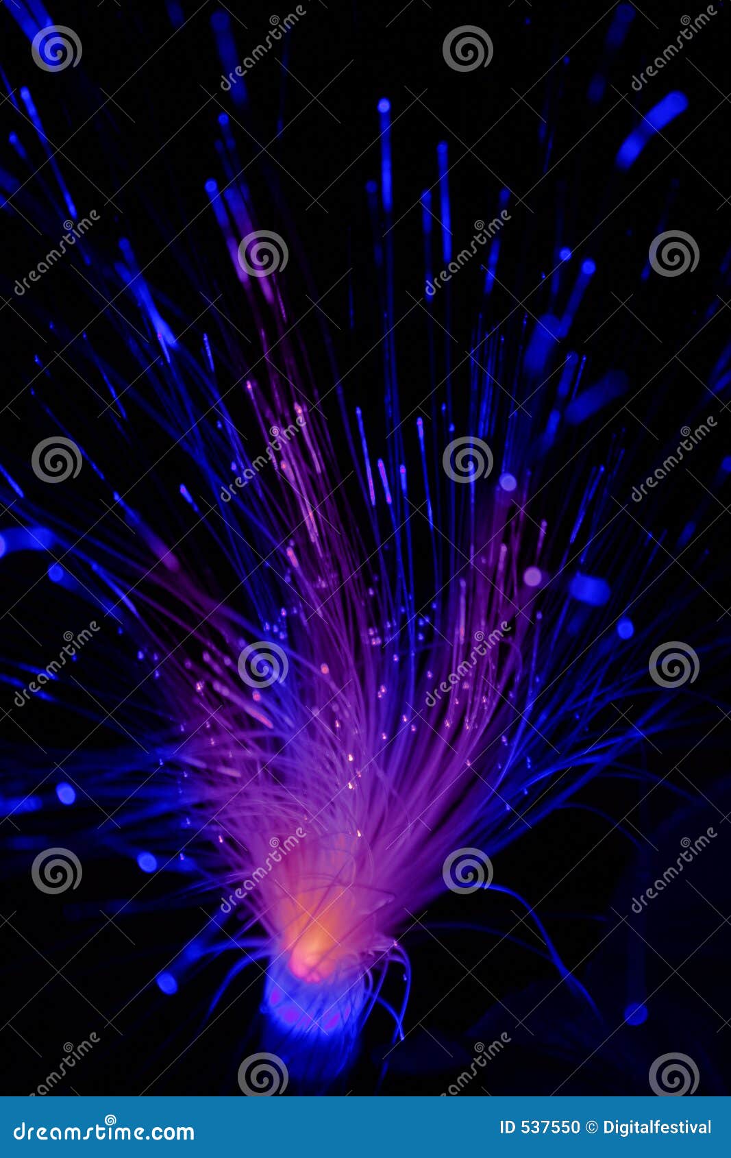 Optical fibre lights stock photo. Image of communicate - 537550