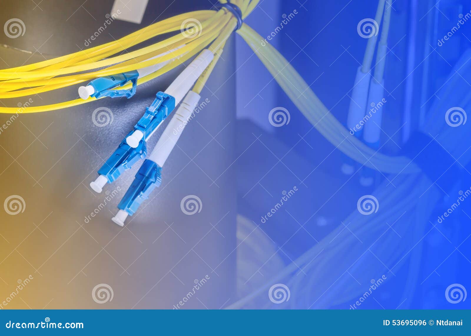 Optical fibre plugs stock photo. Image of internet, tray - 53695096