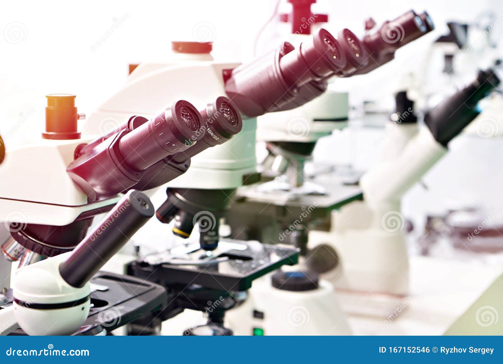 Optical Microscopes in Store Stock Photo - Image of shop, science ...