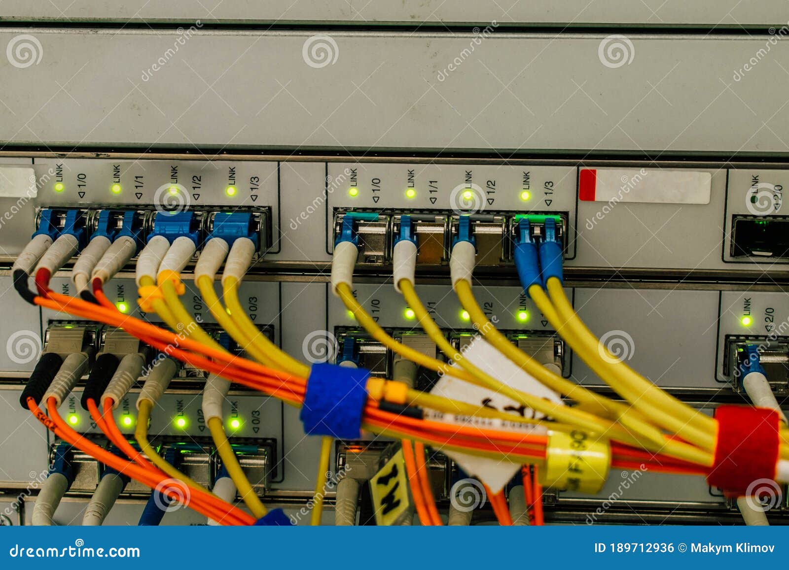 Optical Module and a Bundle of Optical Fibers Connected To a Central ...