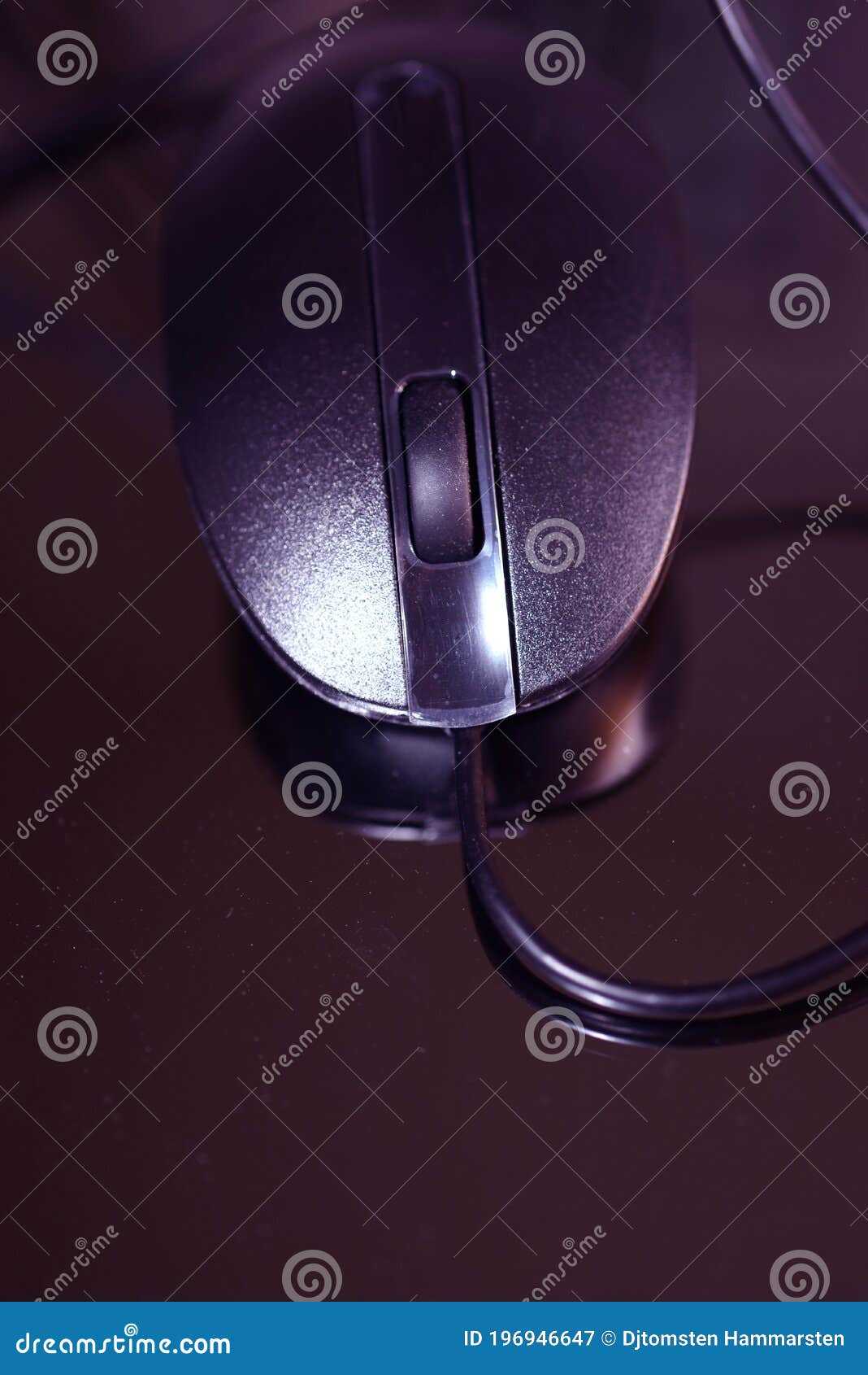 One optical mouse in black stock image. Image of cord - 196946647