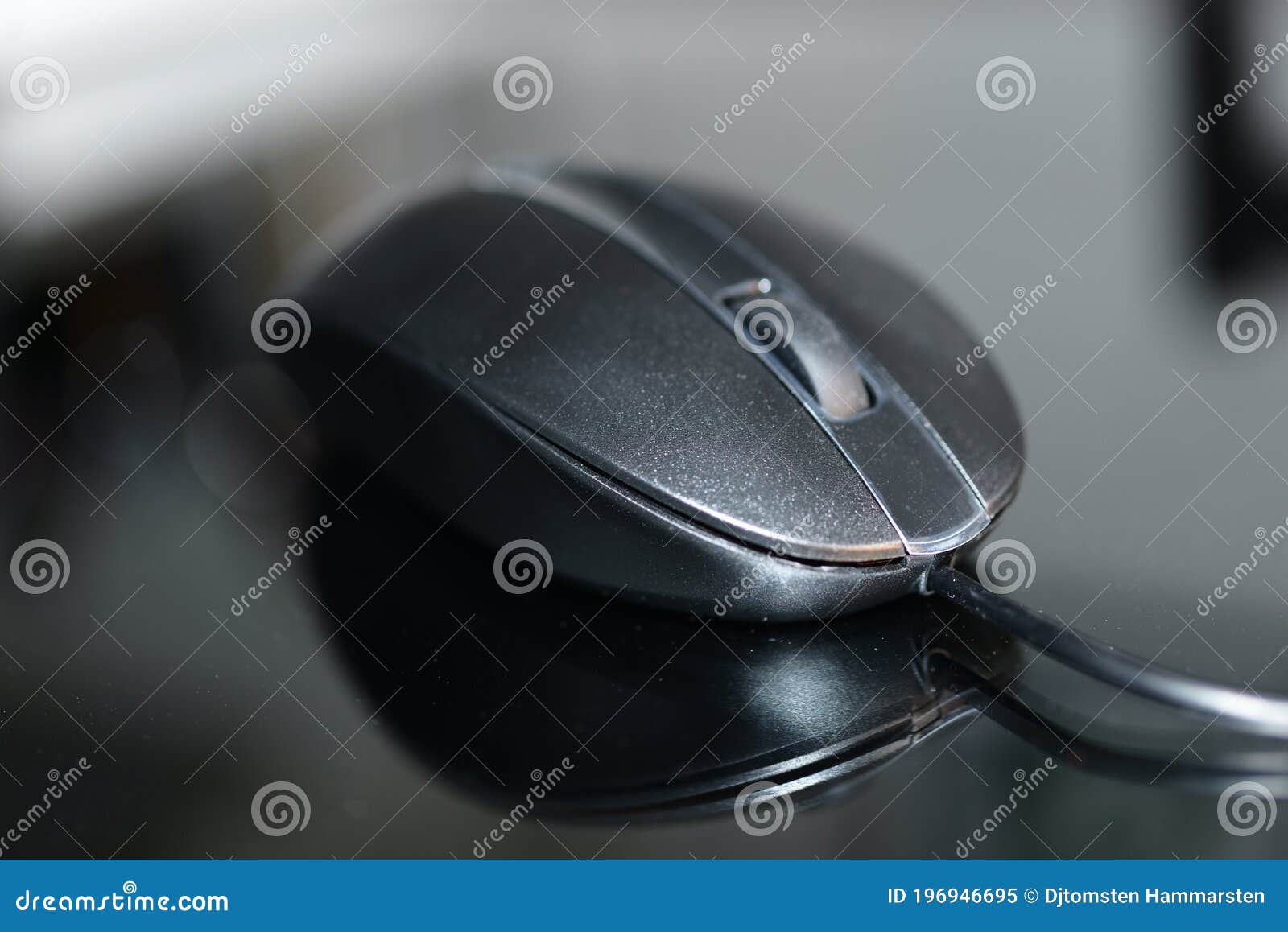 One optical mouse in black stock image. Image of wired - 196946695