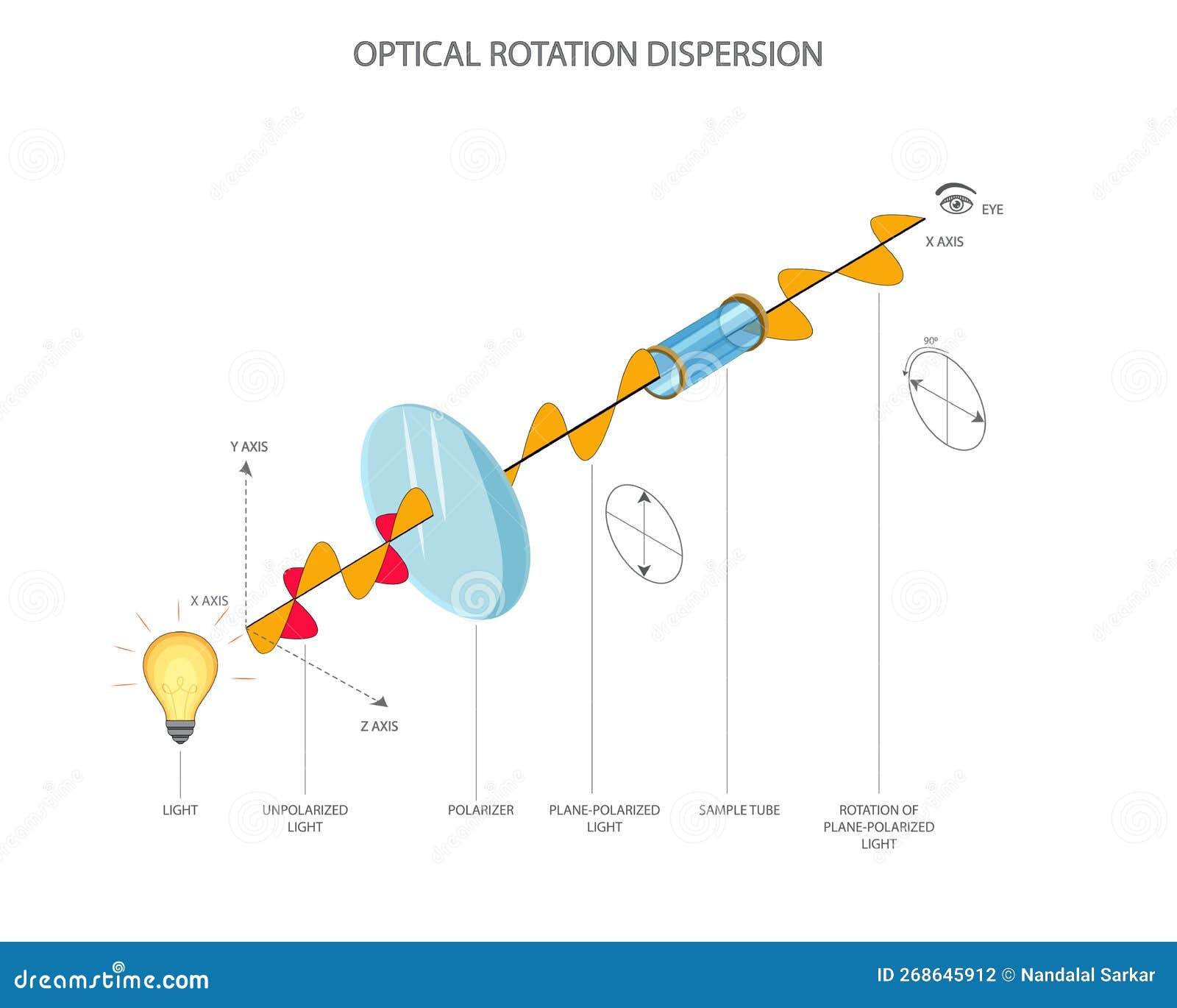 Circular Polarization Of An Electromagnetic Light Wave Cartoon Vector