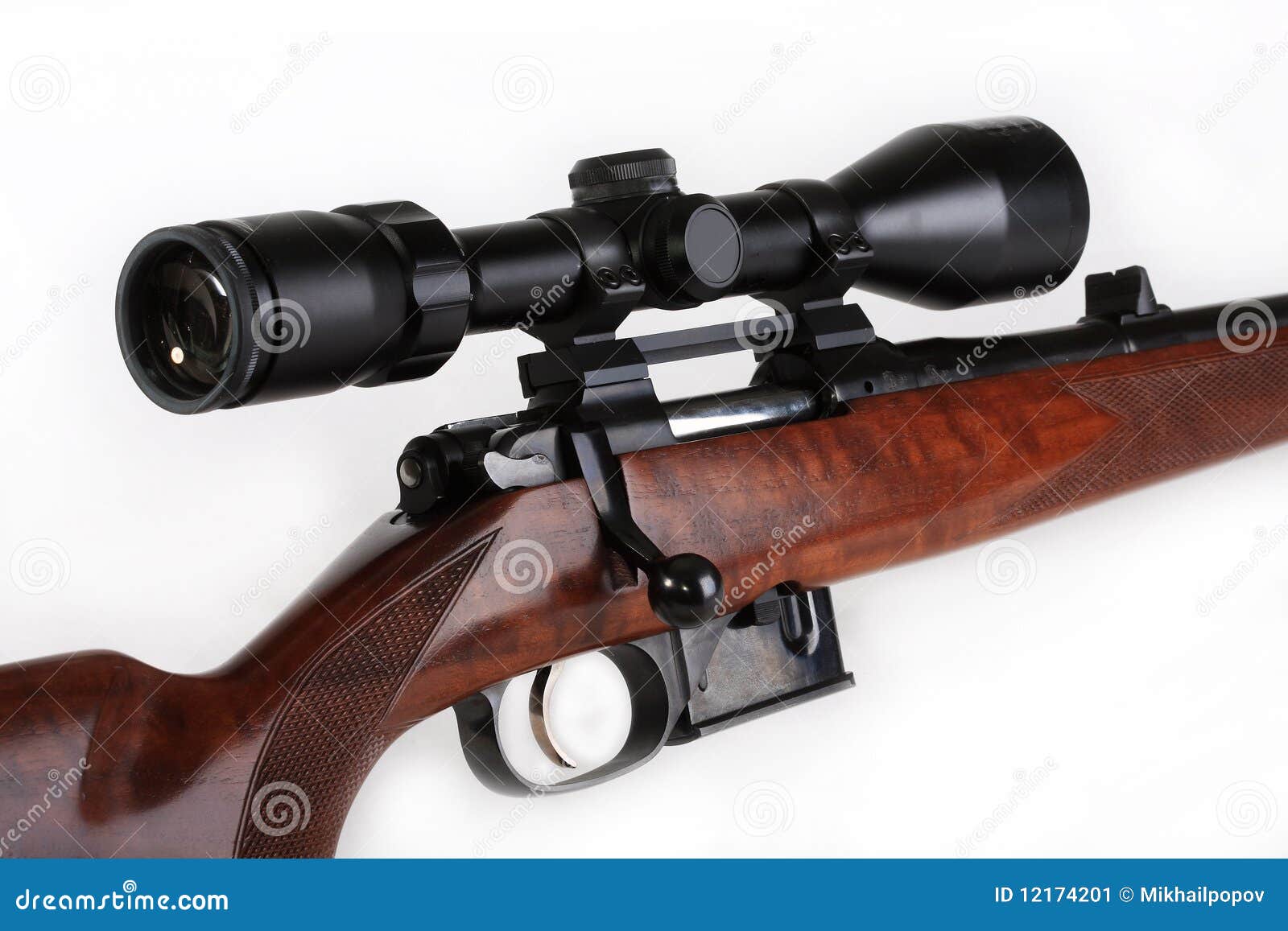 Optical sight stock image. Image of assured, shot, hunting - 12174201