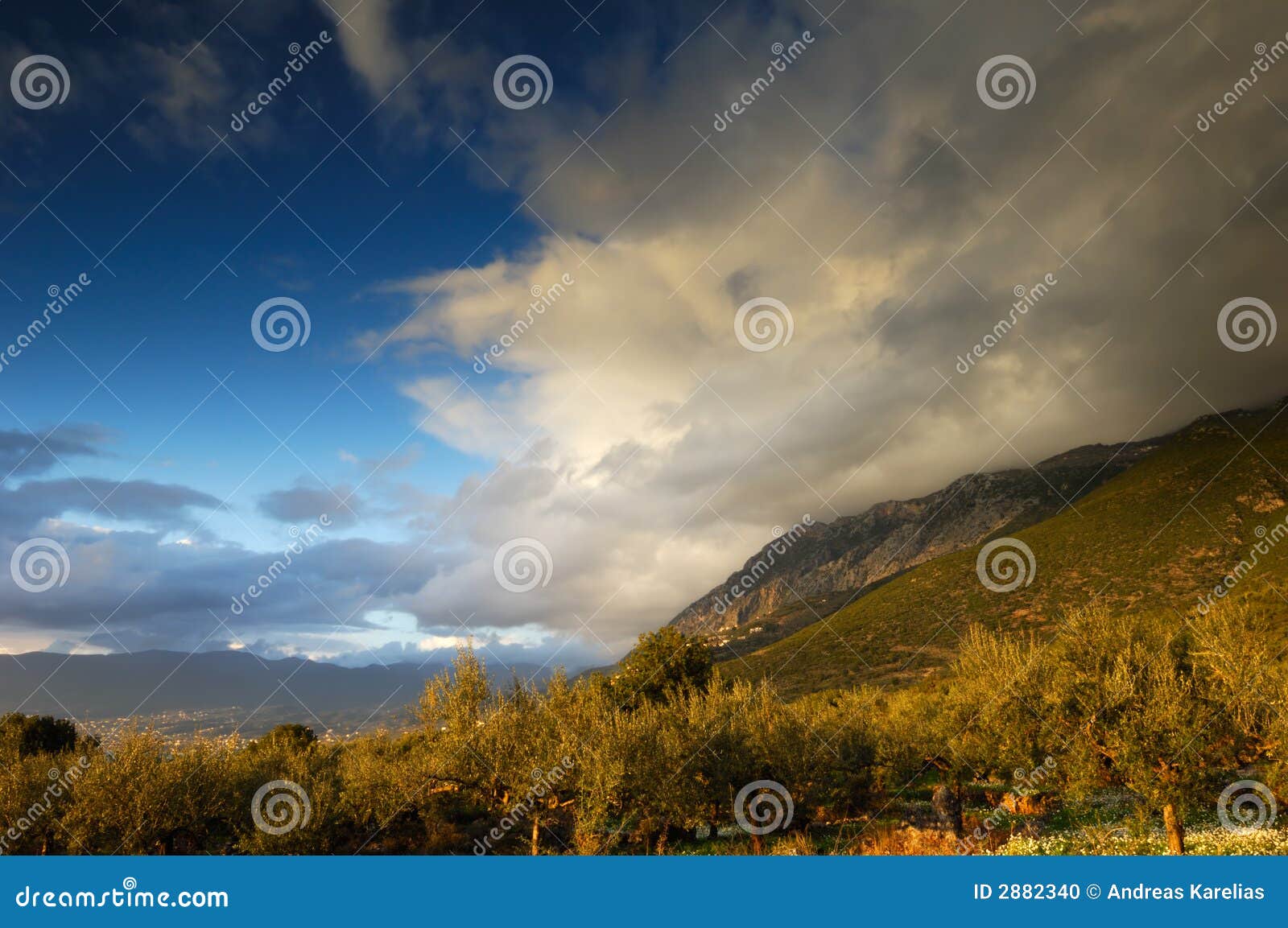 Optimism stock photo. Image of optimistic, rural, light - 2882340