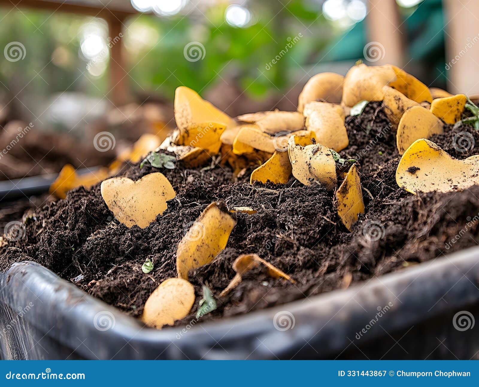 Optimizing Composting Efficiency Harnessing Nature S Cycle for Nutrient ...