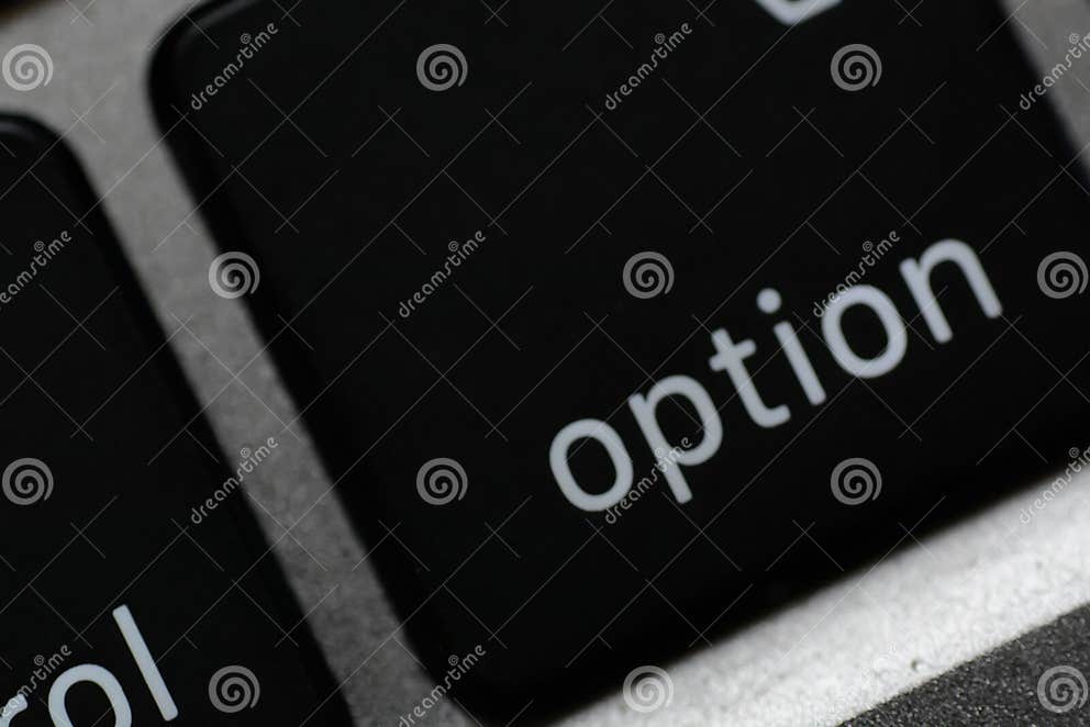 An Option Button is a Control that Represents a Single Choice within a ...