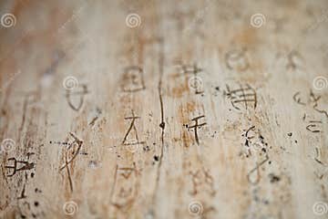 Oracle bone script stock image. Image of calligraphy - 34469729