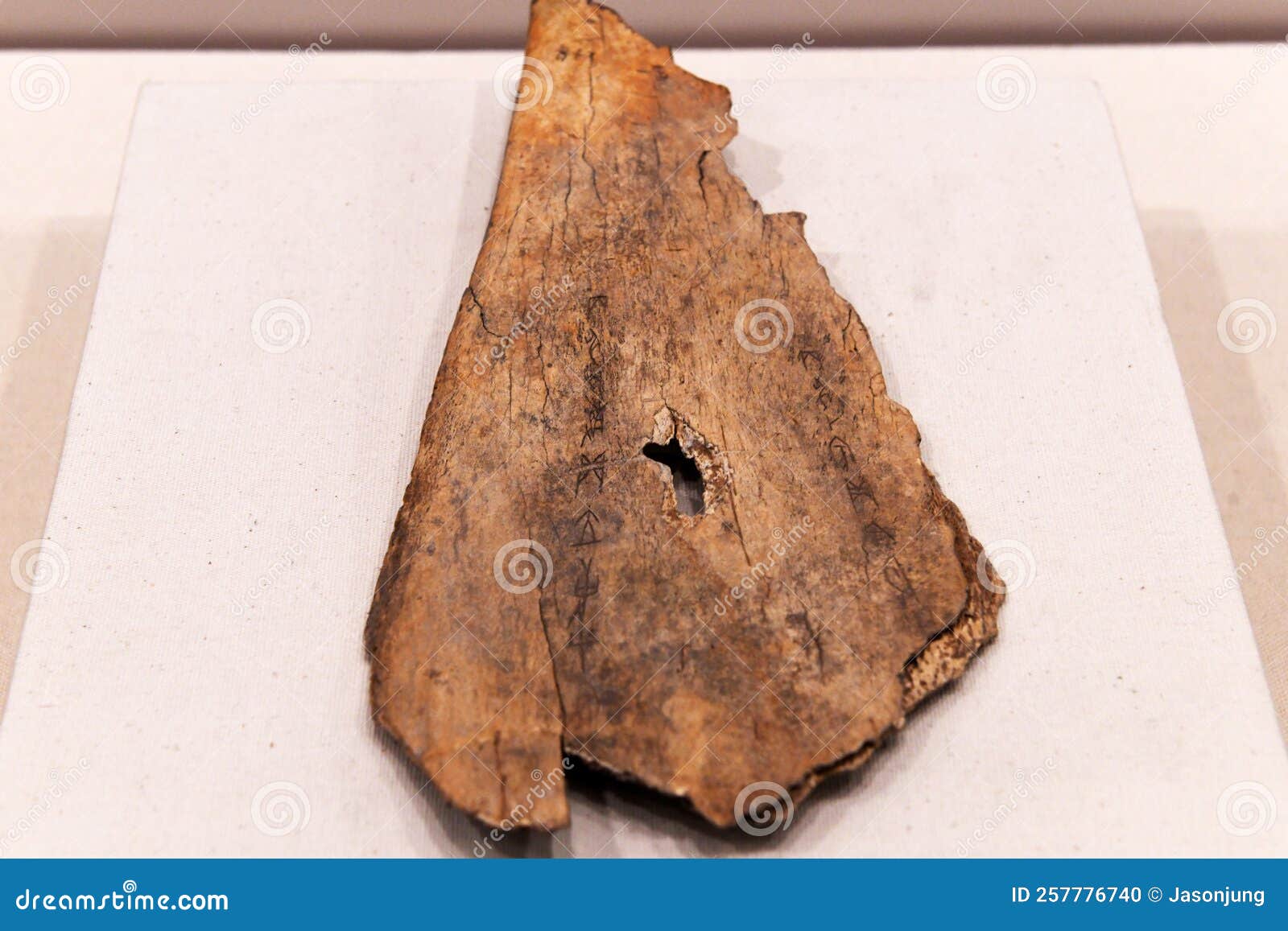 Chinese Ancient Oracle Words in Bone Editorial Image - Image of ...