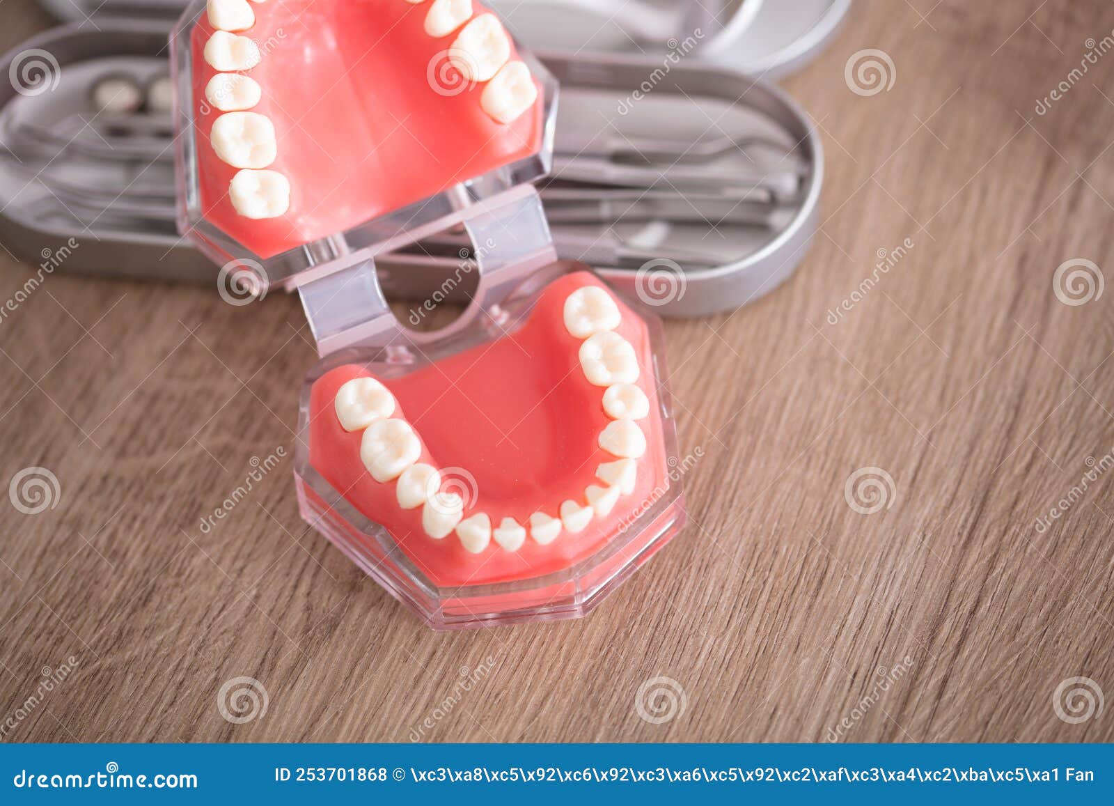 Oral Care Tools and Oral Models Stock Photo - Image of objects, teeth ...