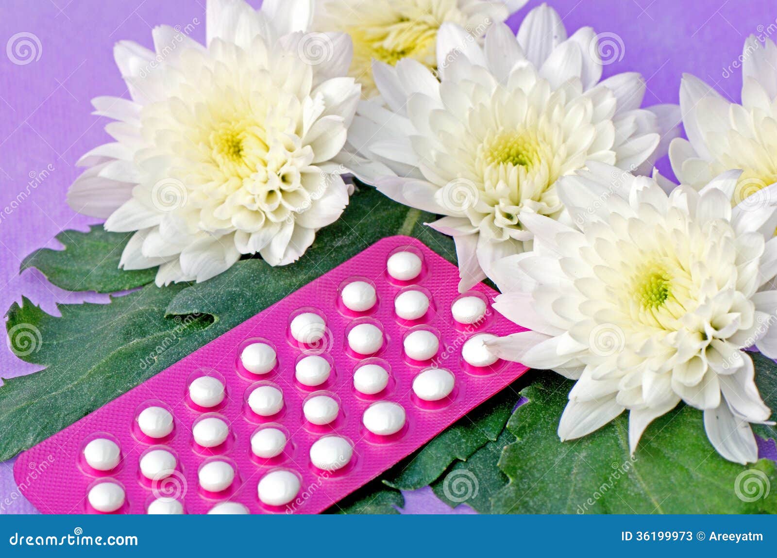 Oral contraceptive pills. stock image. Image of pharmacy - 36199973