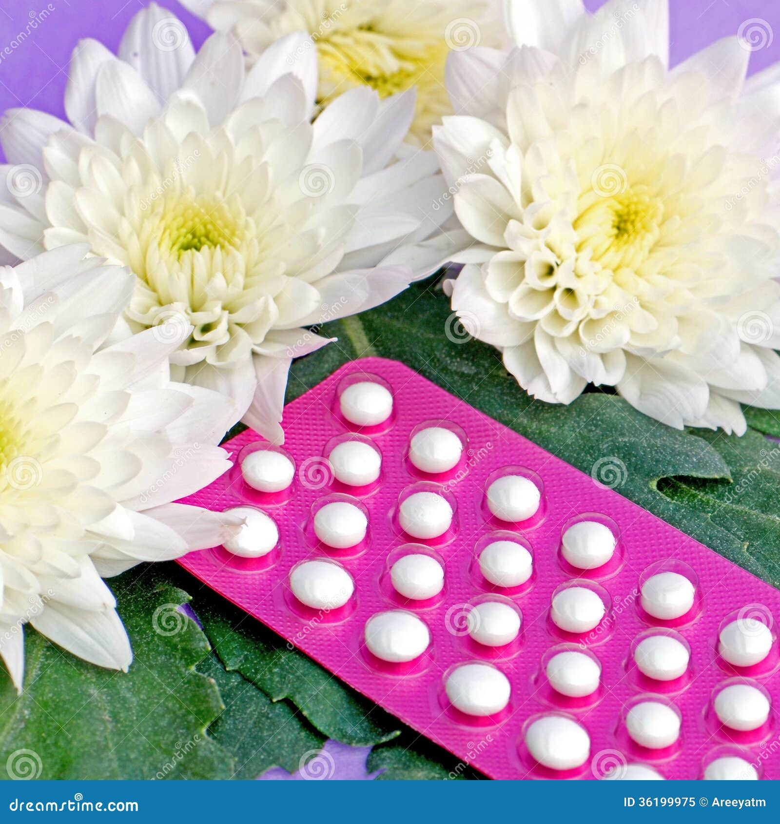 Oral contraceptive pills. stock image. Image of control - 36199975