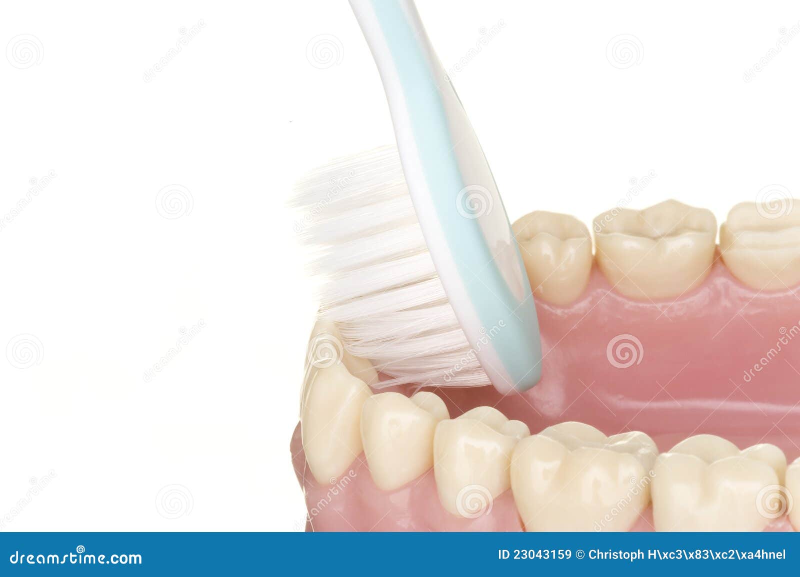 3 Great Suggestions For Healthy Teeth | Fixing Your Grill