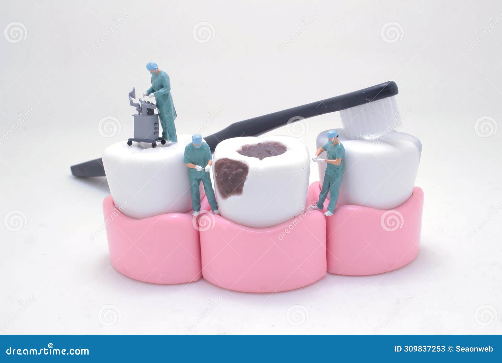 Oral Hygiene, Artificial Model Tooth, Brushing Teeth Stock Image ...