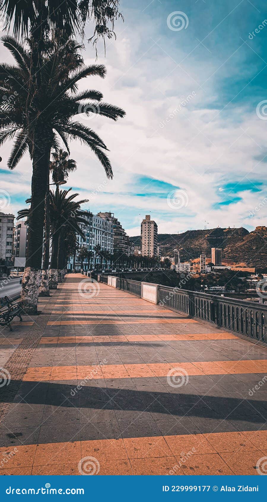 Oran City from Algeria stock image. Image of dusk, evening - 229999177