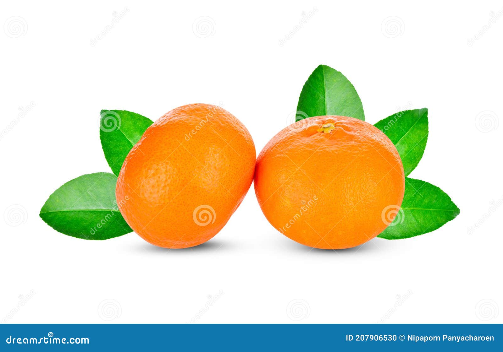 Orang Fruit Isolate. Orange with Leaves Stock Photo - Image of ...
