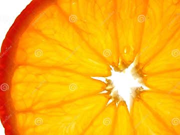 Orange 1 stock image. Image of macro, diet, orange, pith - 517663