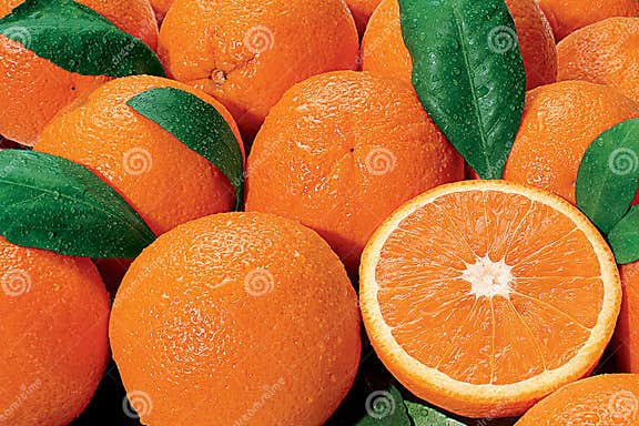 Orange stock image. Image of drops, rind, leafs, fruits - 119509