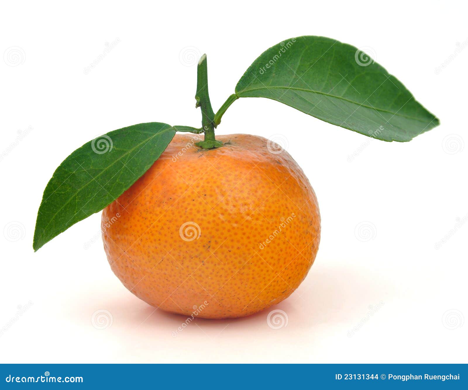 Orange stock photo. Image of fruits, juice, freshness - 23131344