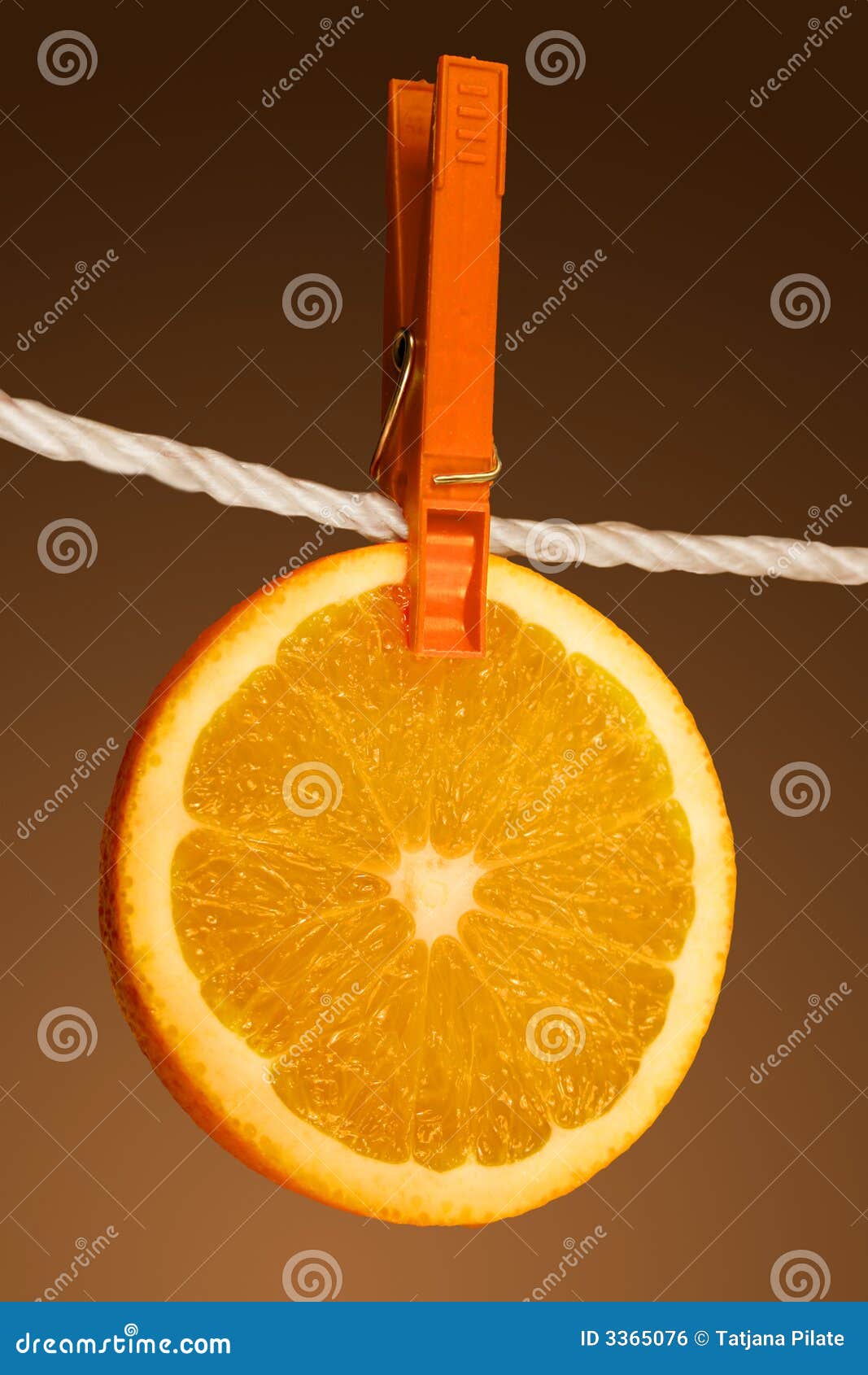 Orange stock photo. Image of hold, attach, fresh, food - 3365076