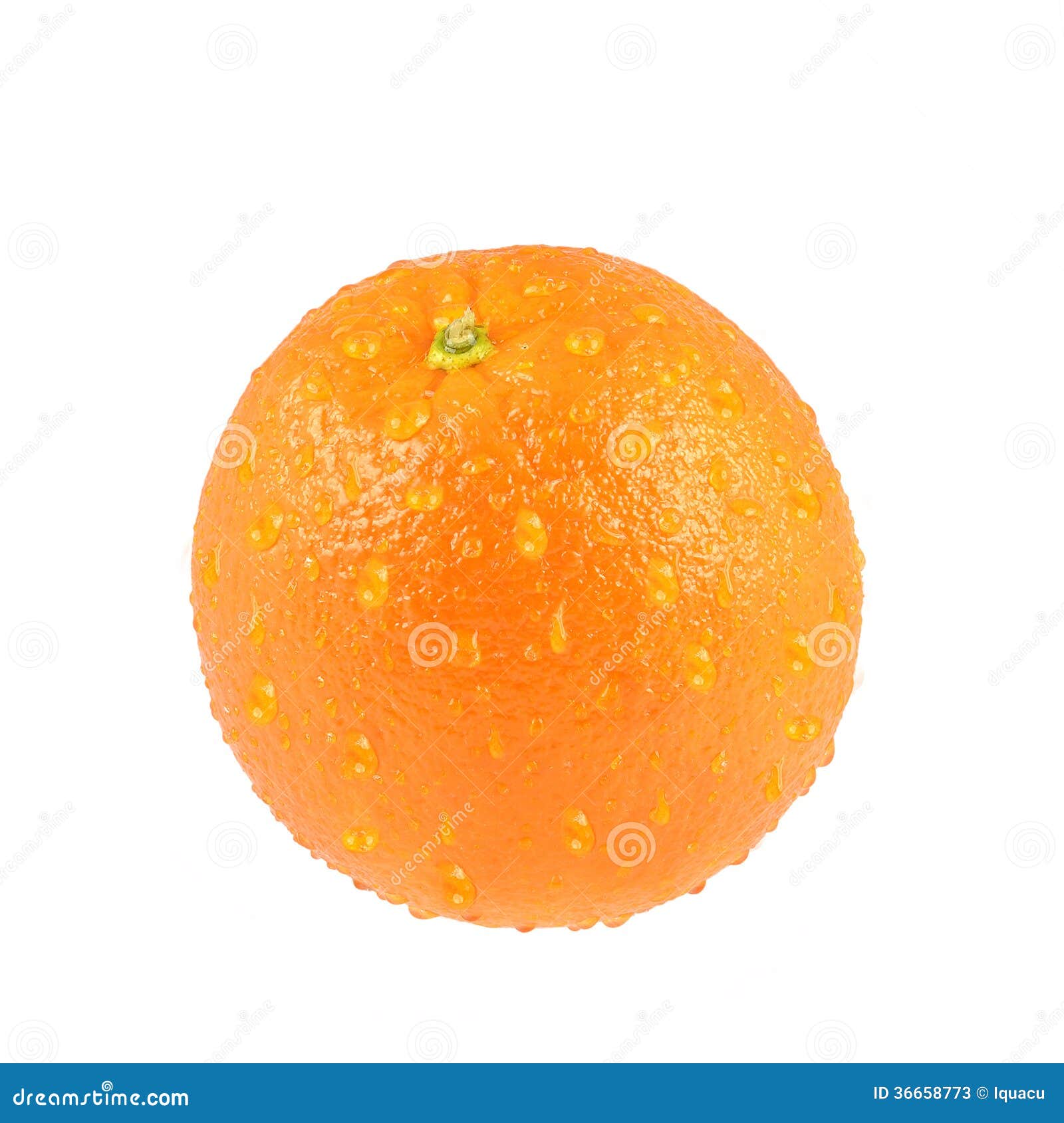Orange image stock. Image of cercle, rond, organique - 36658773