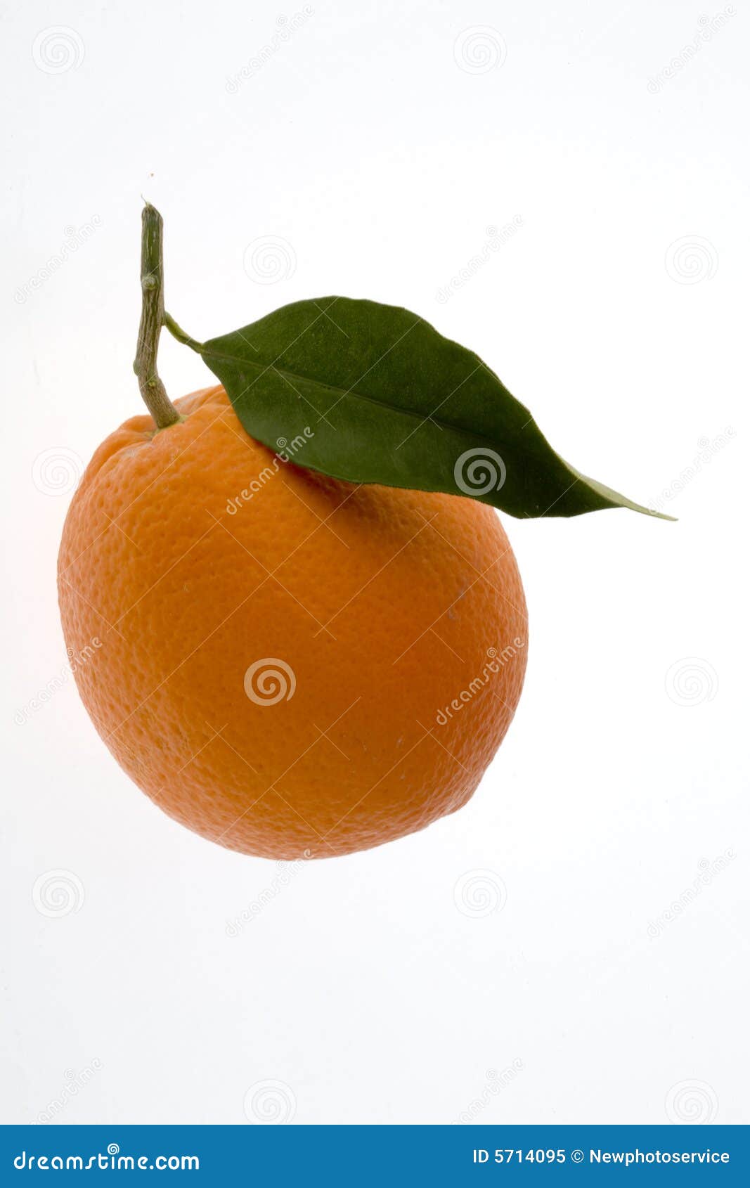 Orange stock image. Image of ingredients, life, green - 5714095