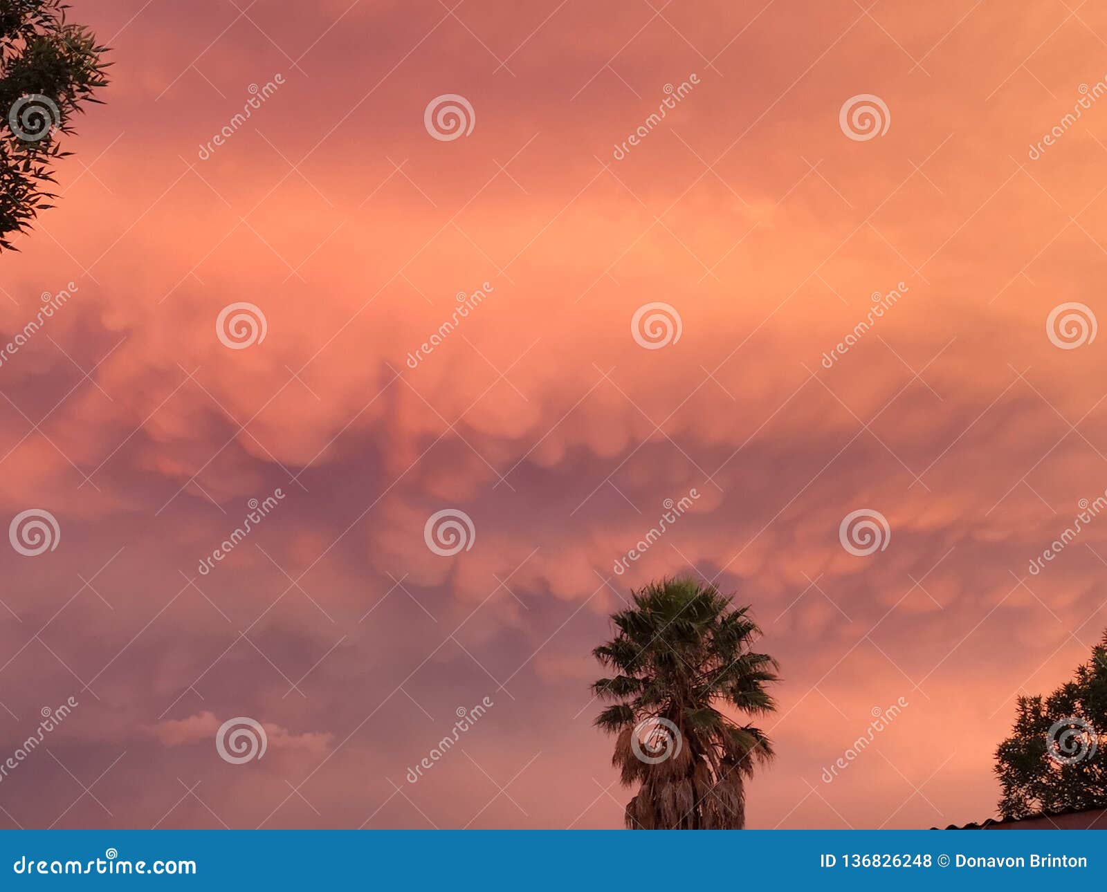 Orange African Sunset stock photo. Image of sunset, cloudy - 136826248