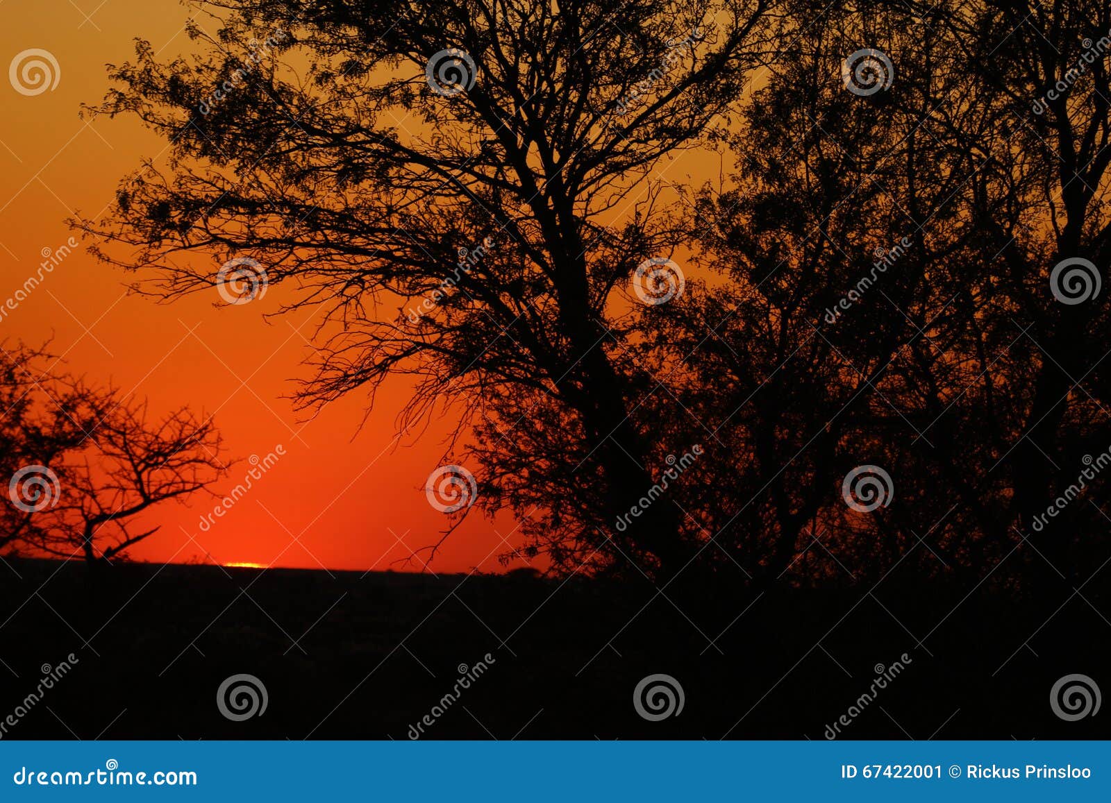 Orange african sunset stock image. Image of bush, african - 67422001