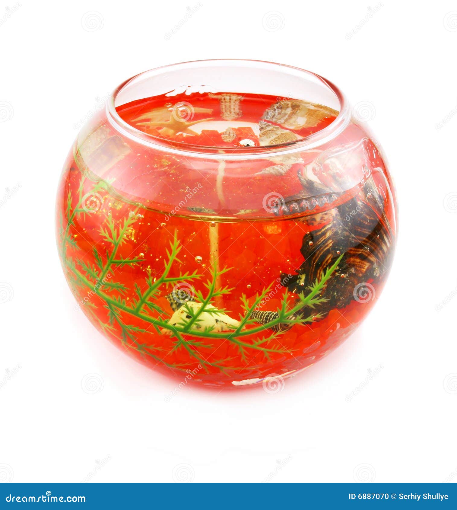 The Orange Aquarium Fish Labidochromis Caeruleus From The Cichlid ...