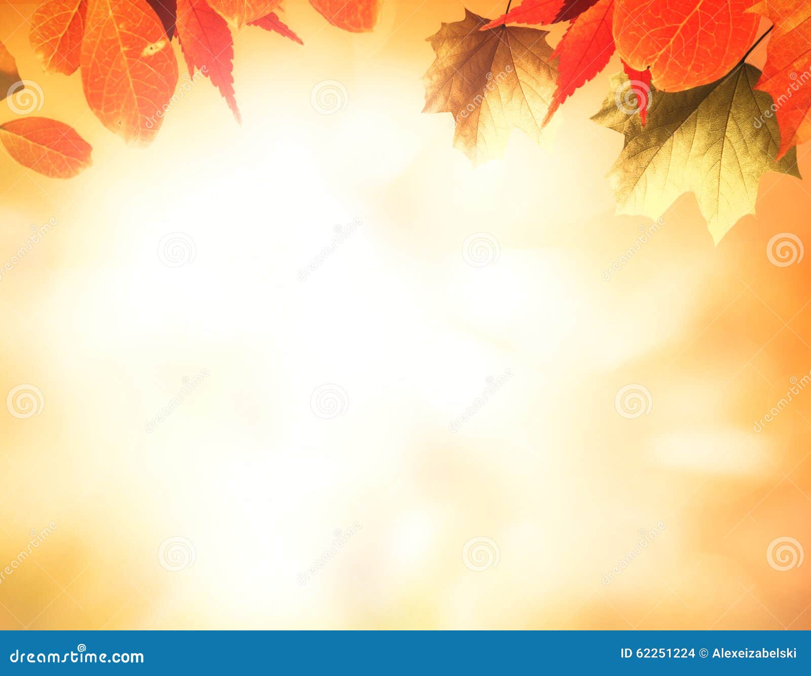 Orange autumn background stock photo. Image of orange - 62251224