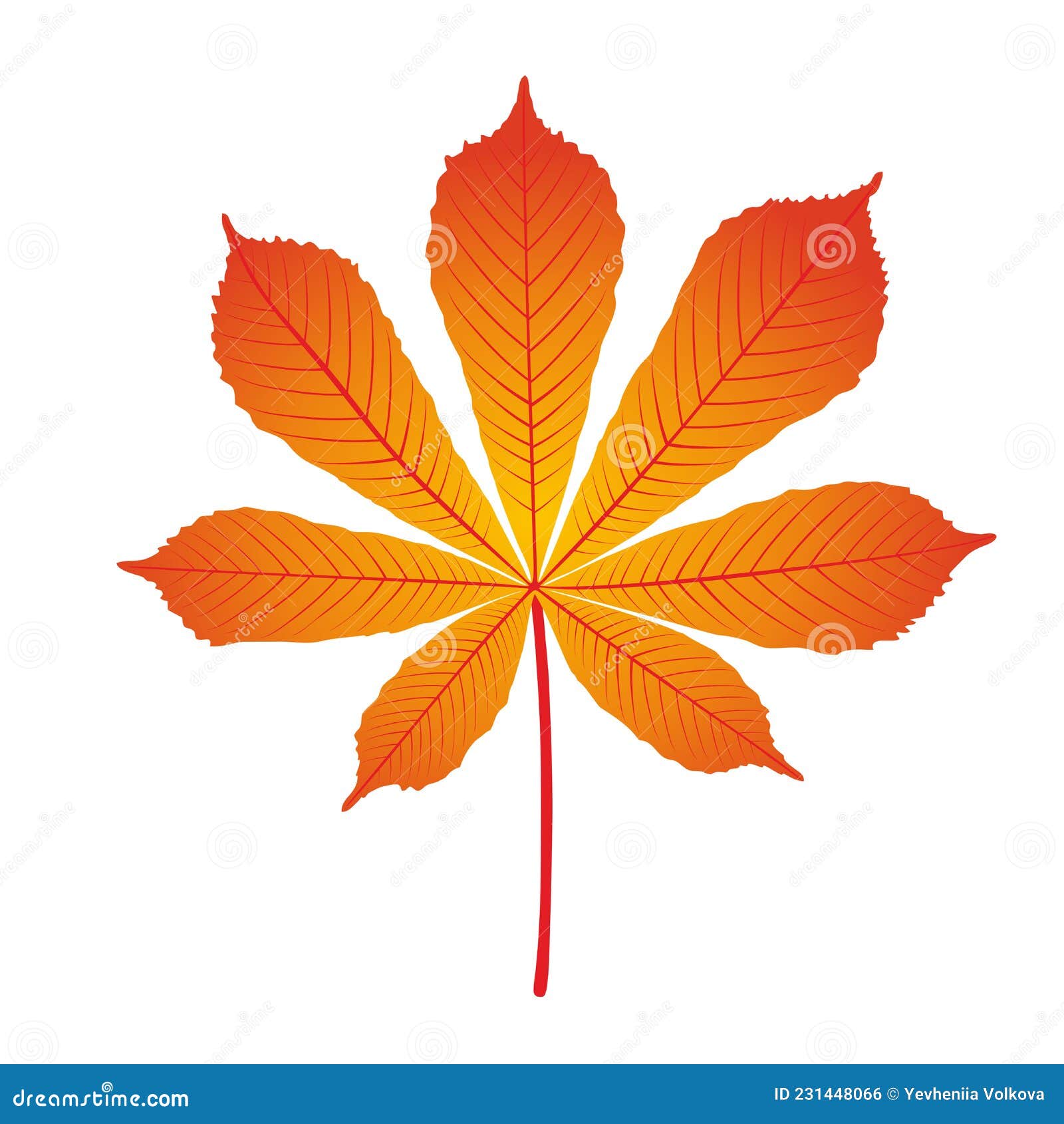 Orange Autumn Chestnut Leaf,vector Stock Vector - Illustration of ...