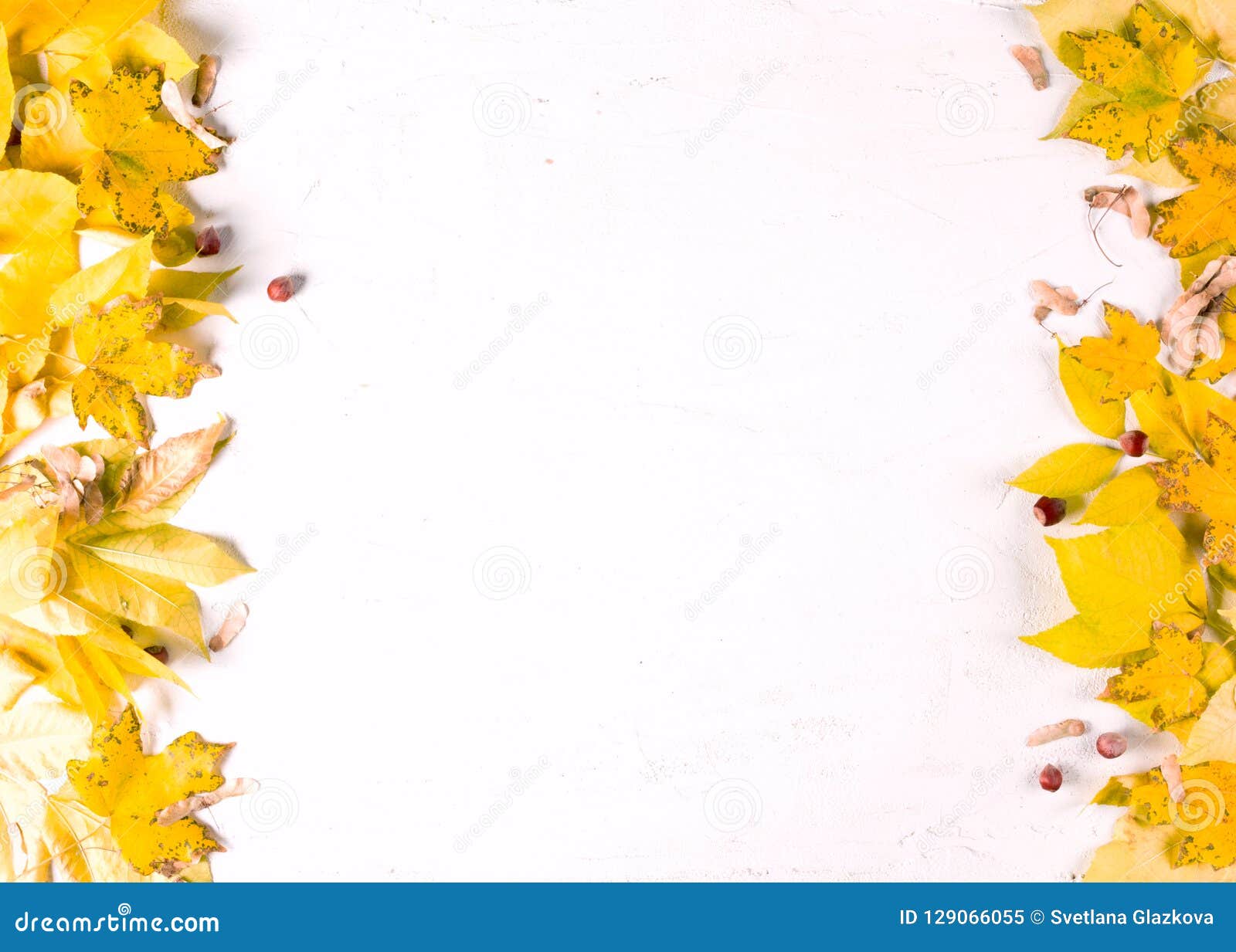 Orange Autumn Leaf Border on White Background, Top View, Copy Space ...