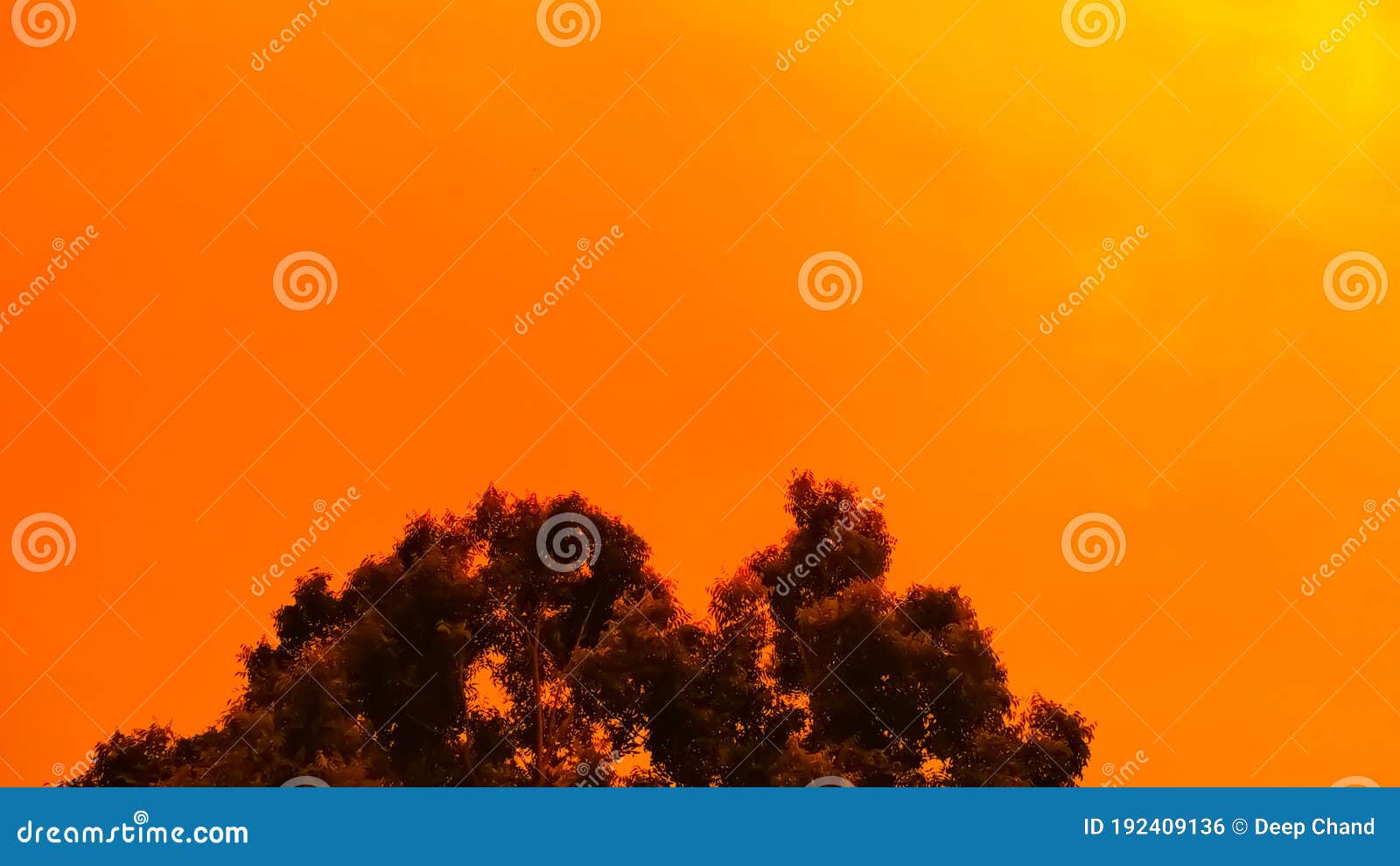 Orange Background in the Sky with Tree Stock Photo - Image of dreamy ...