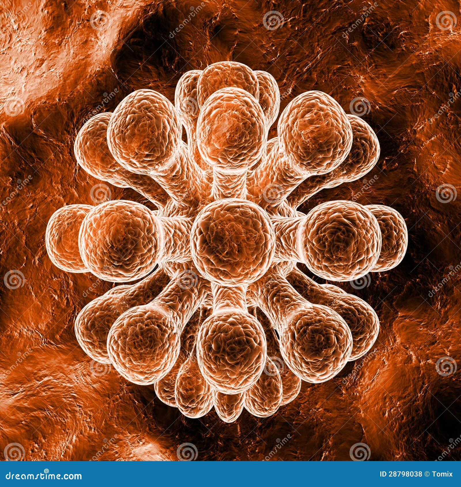 Orange bacteria stock illustration. Illustration of cells - 28798038