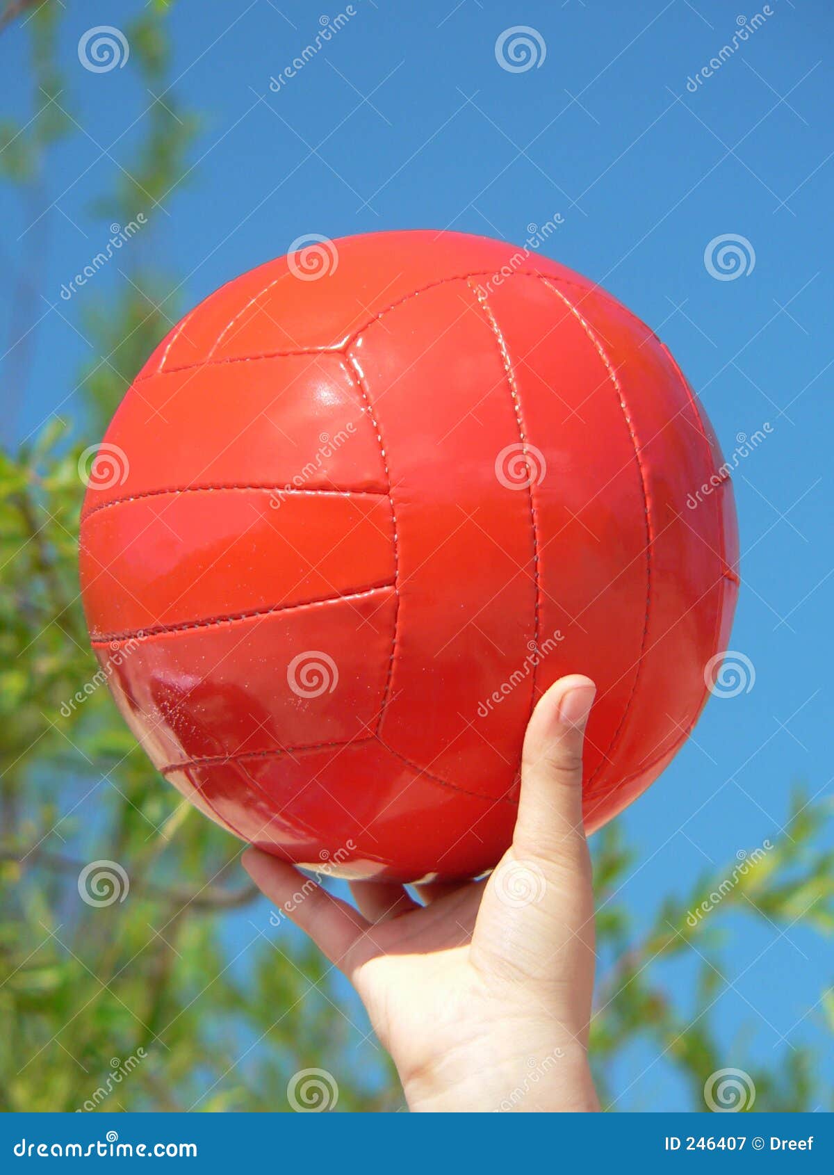 Orange ball stock image. Image of teenager, surf, shorts - 246407