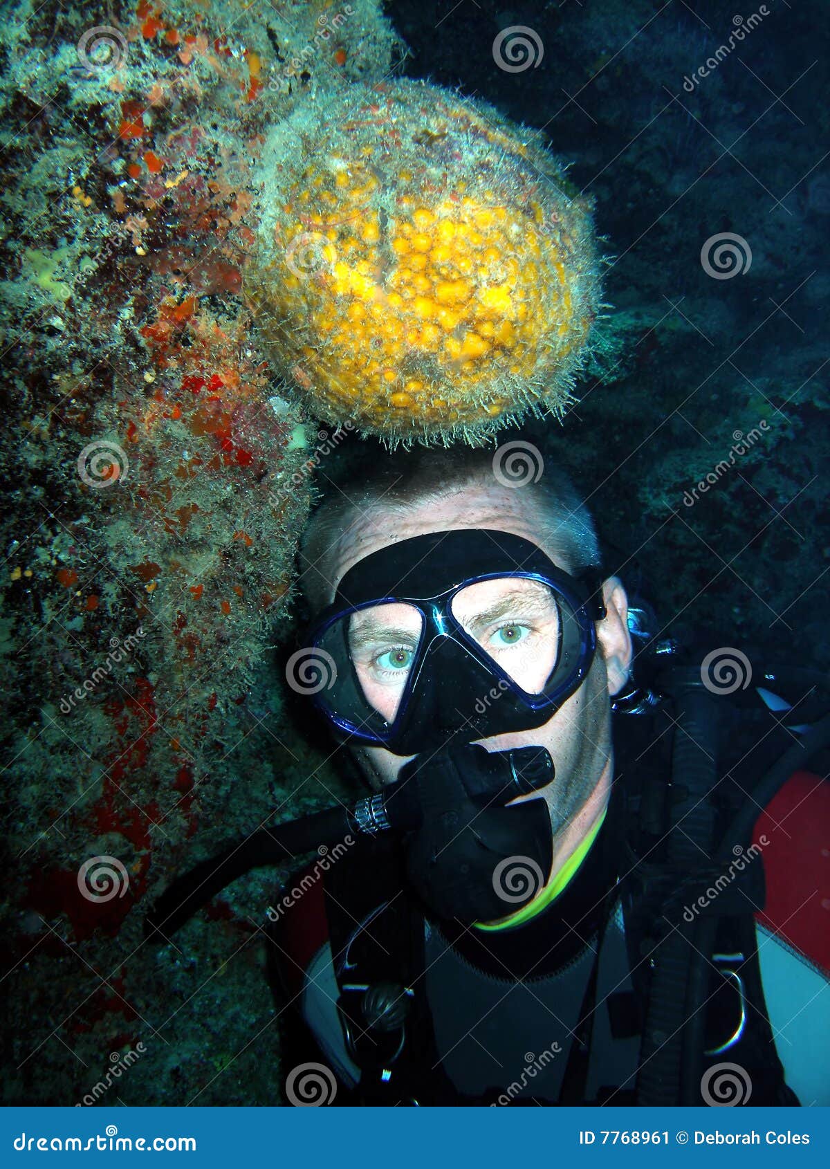 Orange Ball Sponge And Diver Stock Image - Image of colours, cayman ...