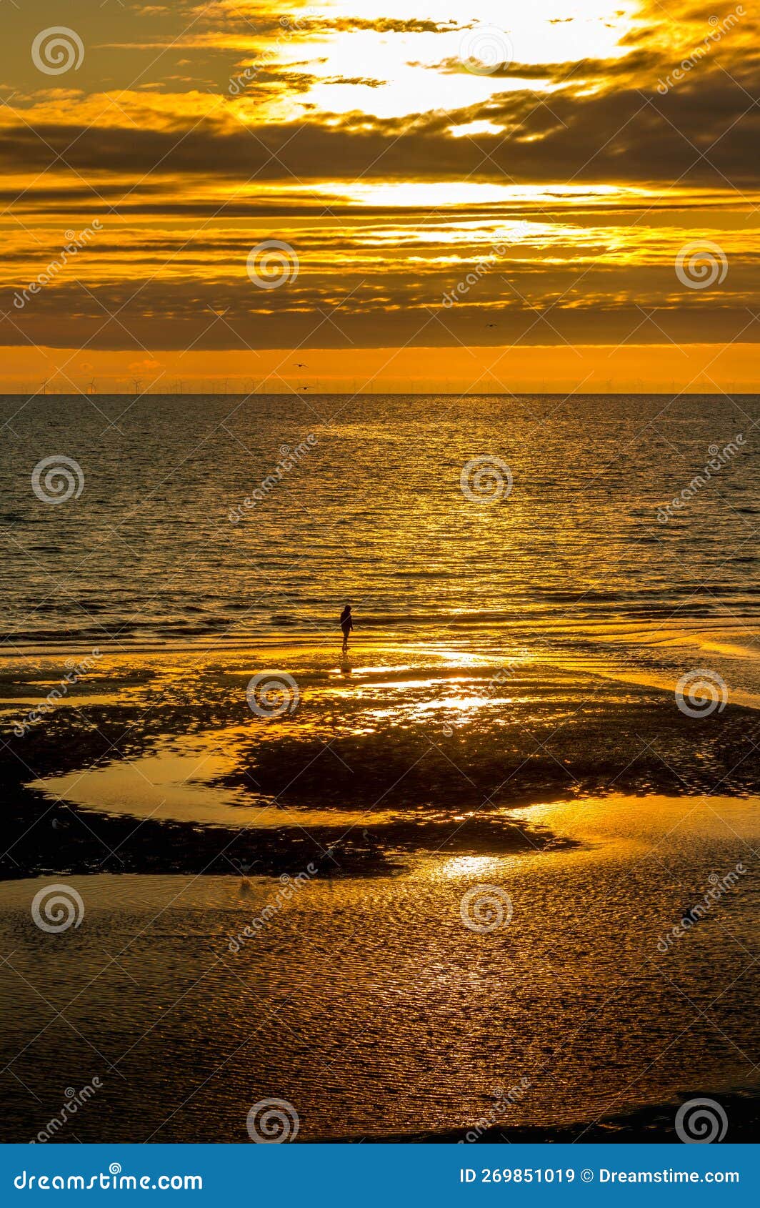Orange beach at sunset stock image. Image of beach, evening - 269851019