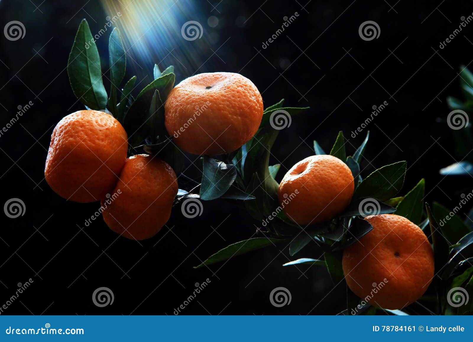 Orange stock image. Image of light, orange, bunch, beam - 78784161