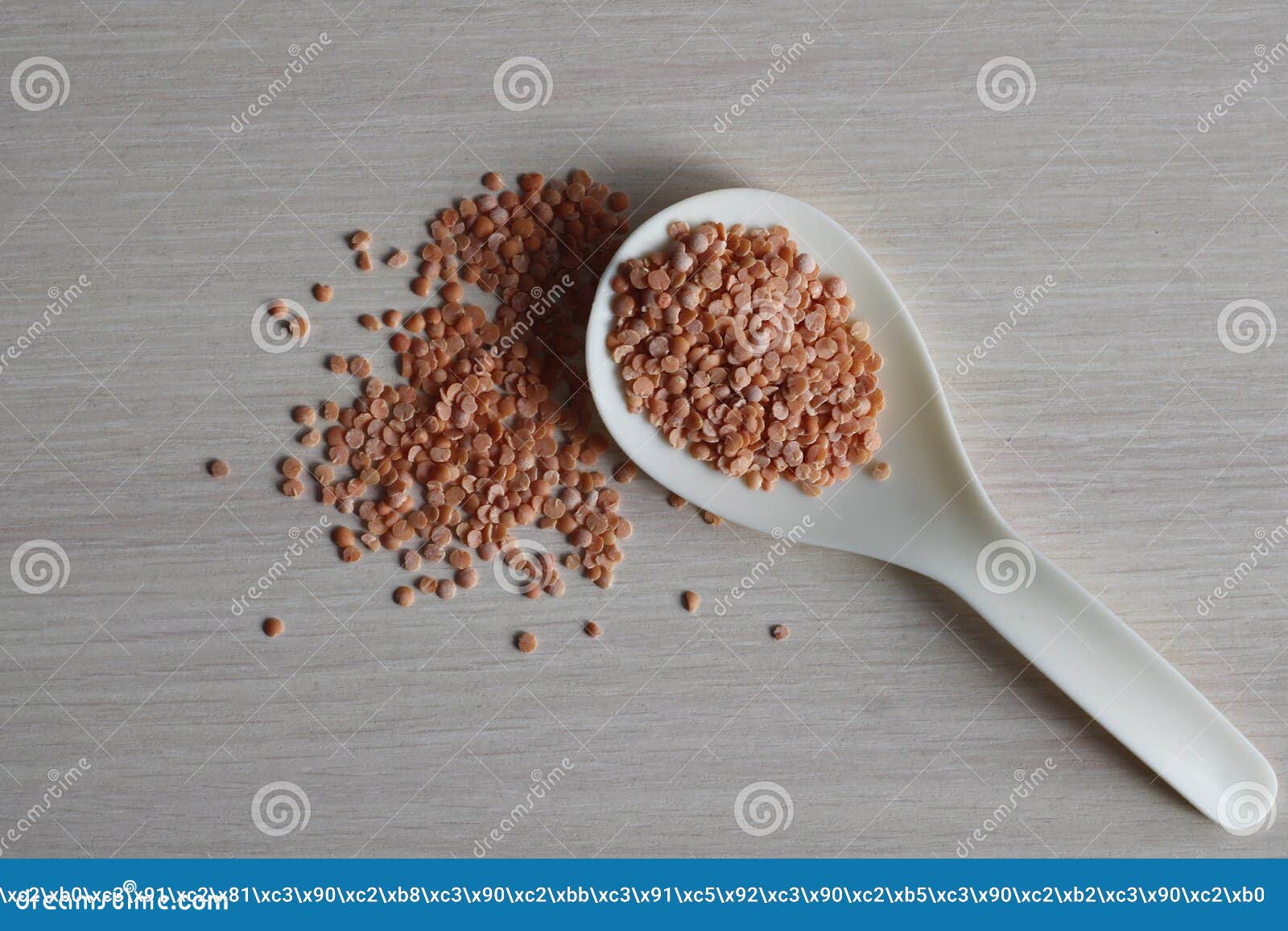 Orange bean stock photo. Image of food, beans, diet - 179540248