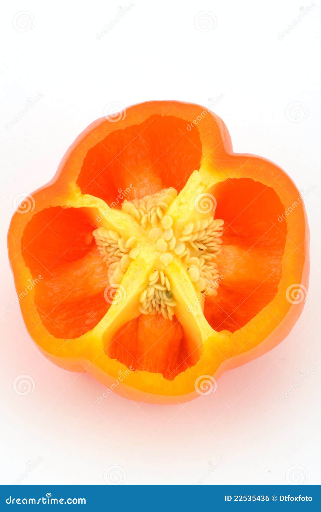 Orange Bell stock photo. Image of orange, chilli, fresh - 22535436