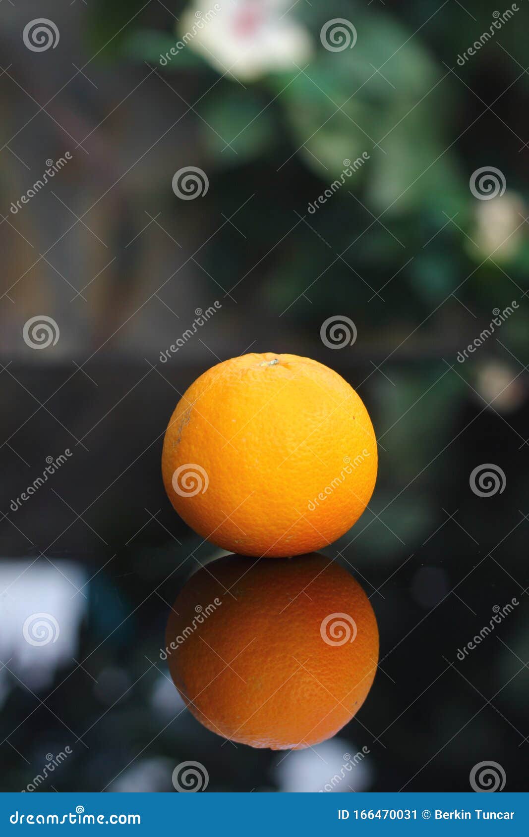 Orange on Black Background. with Reflection. Stock Image - Image of ...