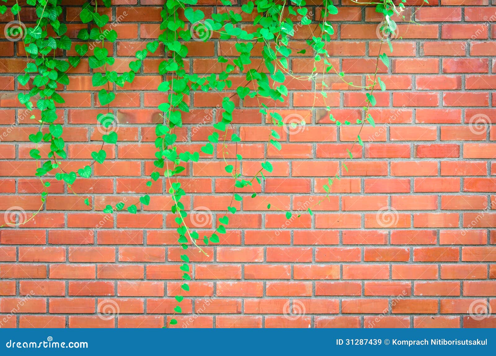 Orange block wall. stock image. Image of wallpaper, texture - 31287439