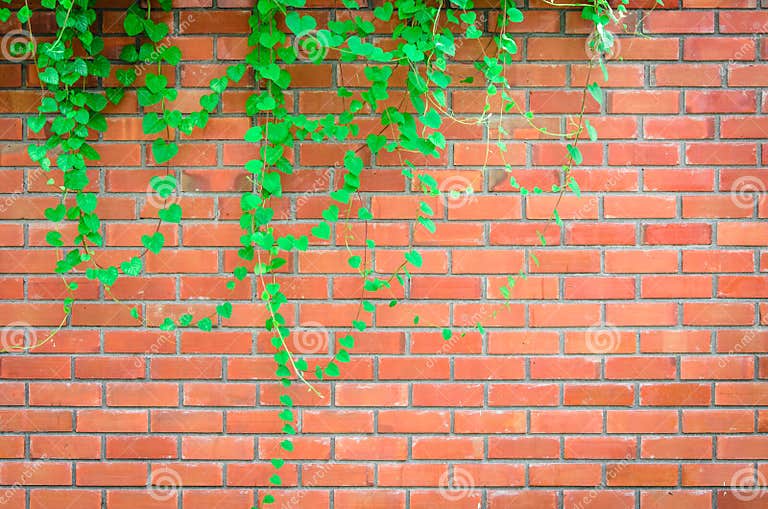 Orange block wall. stock image. Image of wallpaper, texture - 31287439
