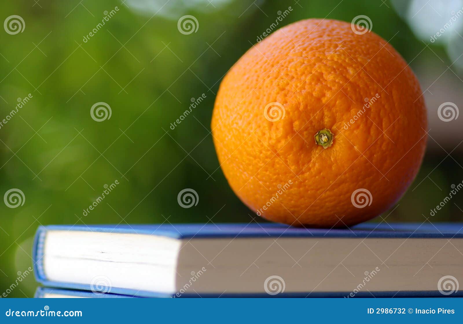 An Orange On A Book Picture. Image: 2986732