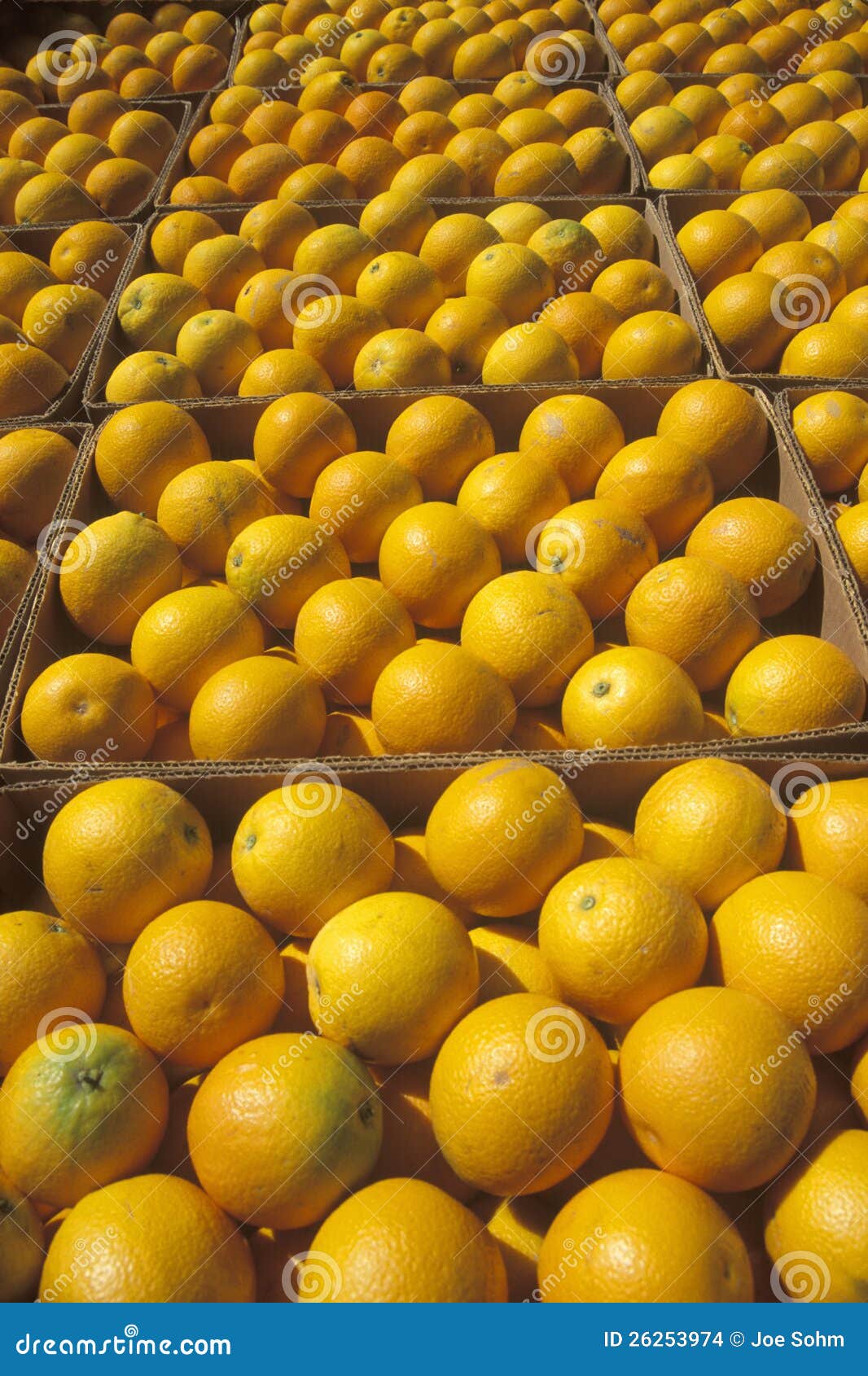 Orange boxes stock photo. Image of drink, orange, california - 26253974