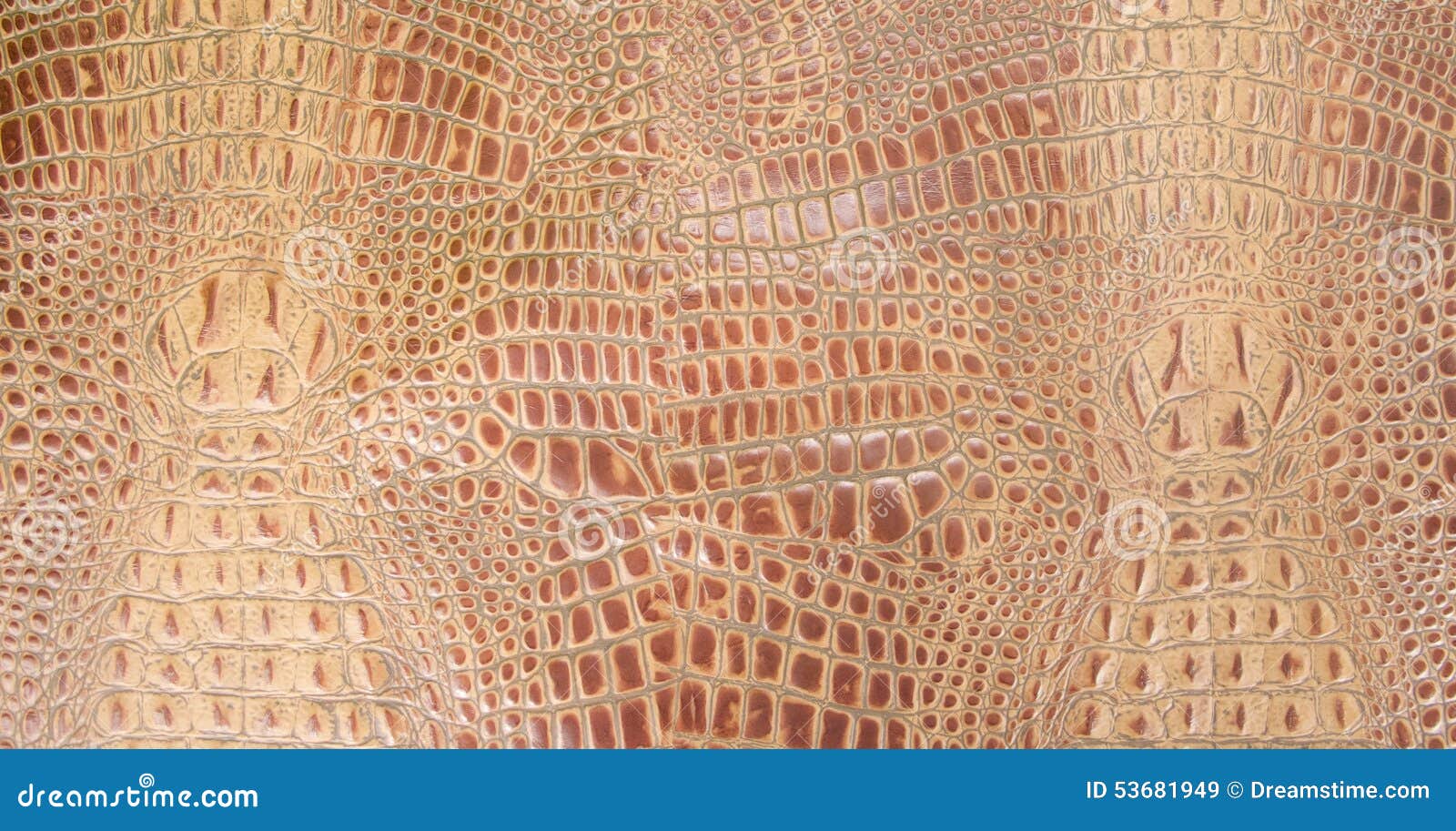 Orange Brown Embossed Gator Leather Texture Stock Image - Image of ...