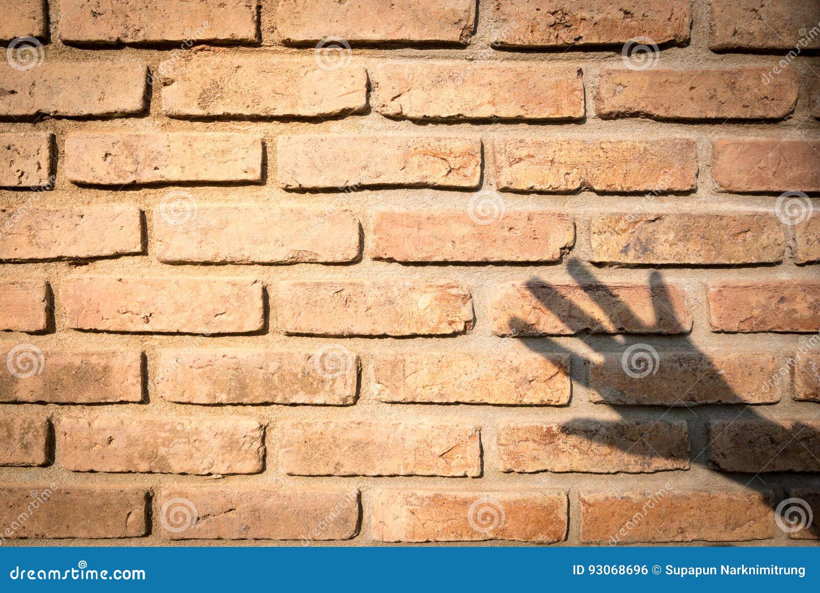 Red Brick In Hand Stock Photography | CartoonDealer.com #24394532