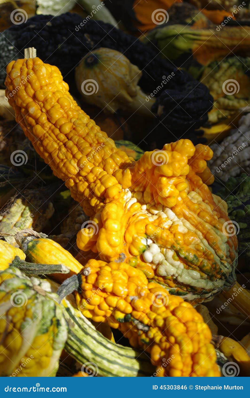 Orange Bumpy Ground stock photo. Image of october, country - 45303846
