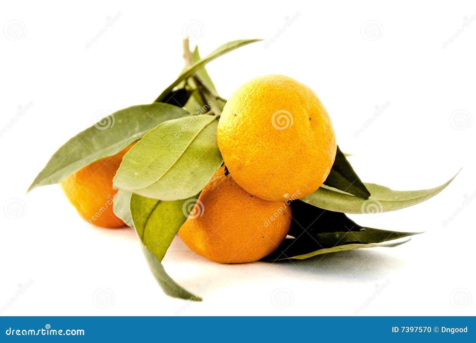 Orange Bunch - Close stock photo. Image of breakfast, fruit - 7397570